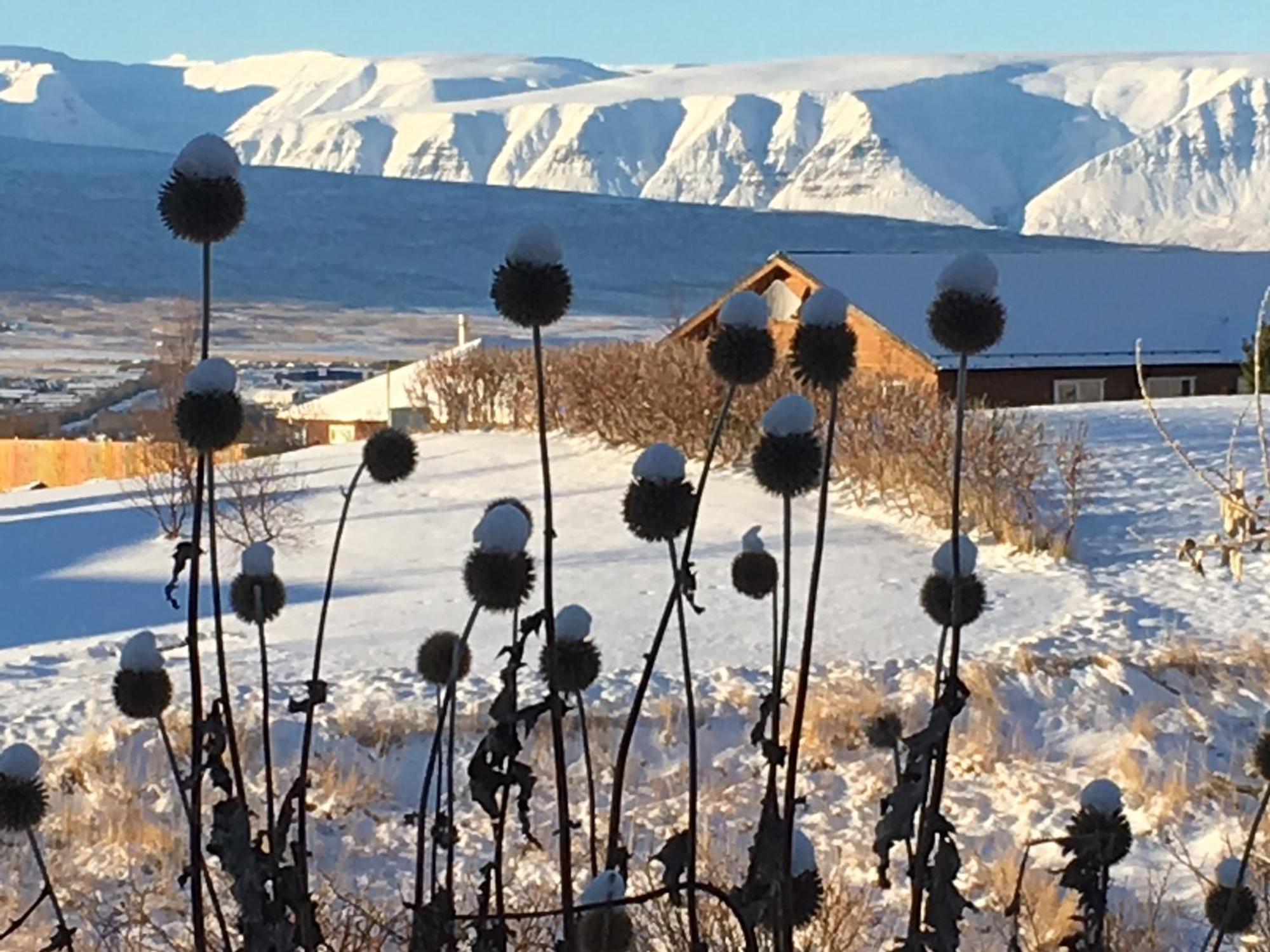 Villa Mafini | Best Price 2026 | Guide to Iceland