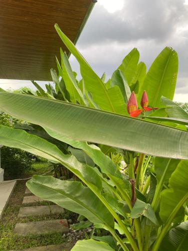 Carmel Retreat - Calamba, the Philippines | Best Prices 2025 | Guide to ...